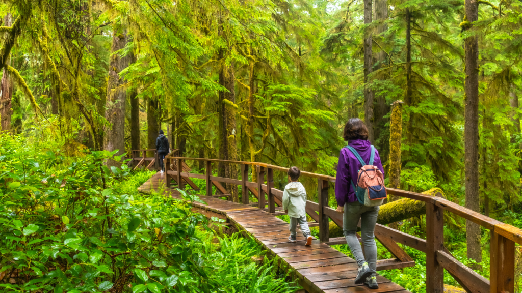 Why 2026 Is the Year of Nature-First Travel (And Where to Go) - Vibes ...